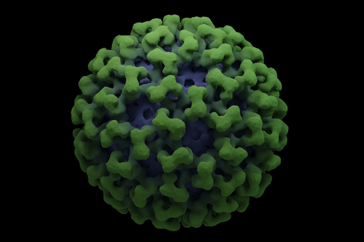 Chikungunya Virus Cases Swell in China — Here's What to Know About the ...