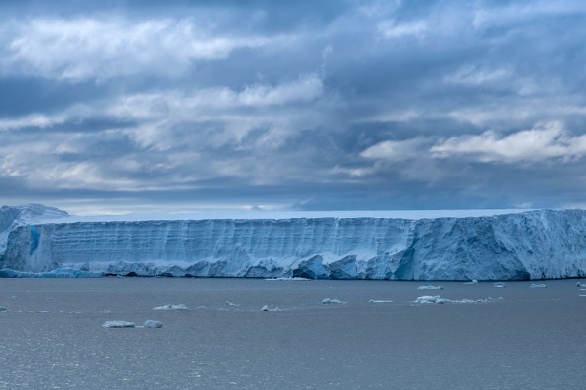 New Species Identified On Antarctic Seafloor that was Once Covered By a ...