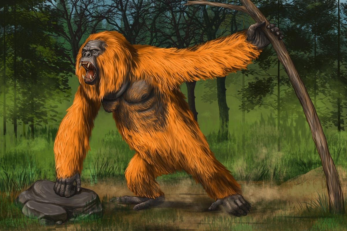 Gigantopithecus Was the Largest Ape to Exist — Why Did it Disappear? | Discover Magazine