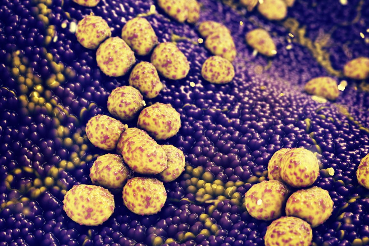 Infectious Staph Bacteria Stick to Human Skin With the Strongest Grip ...