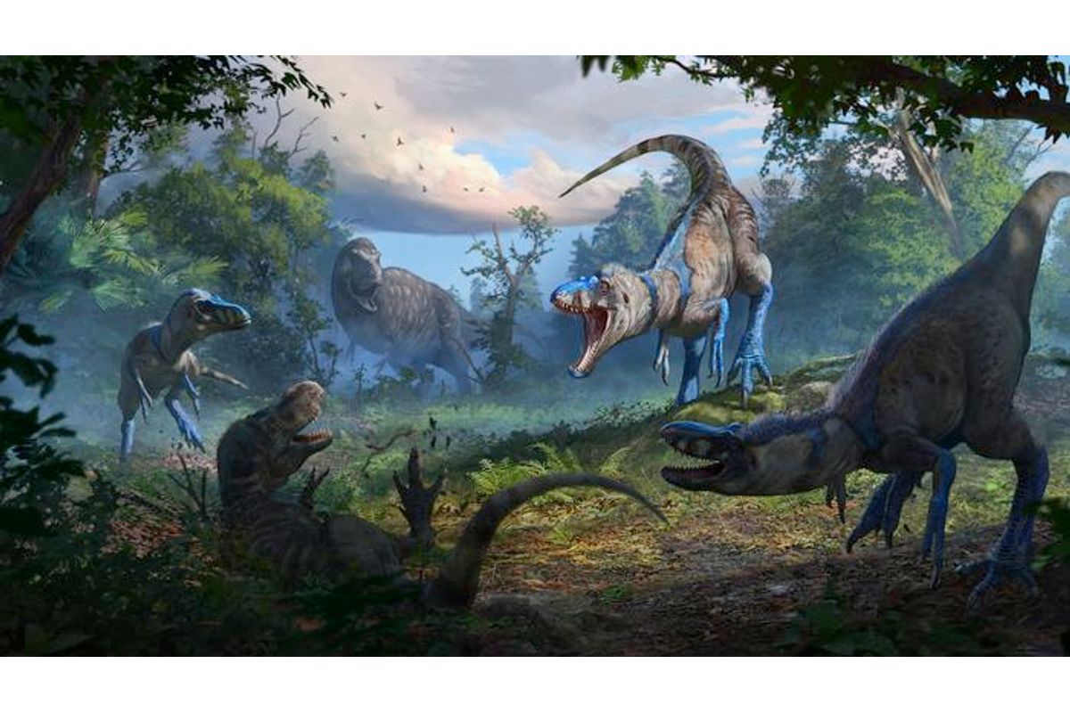 The Dueling Dinosaurs Mystery May Have Been Solved — The Baby T. rex ...