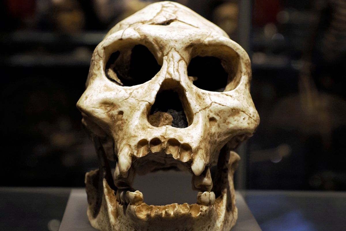 Neanderthals Boasted Larger Jaws Than Humans Due to a Tiny Difference ...