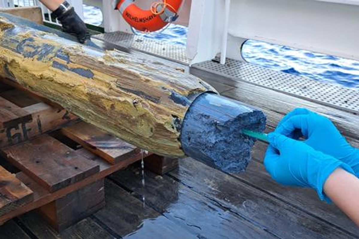 Fat Molecules in Deep-Sea Mud Volcanoes Reveal How Microbes Survive ...