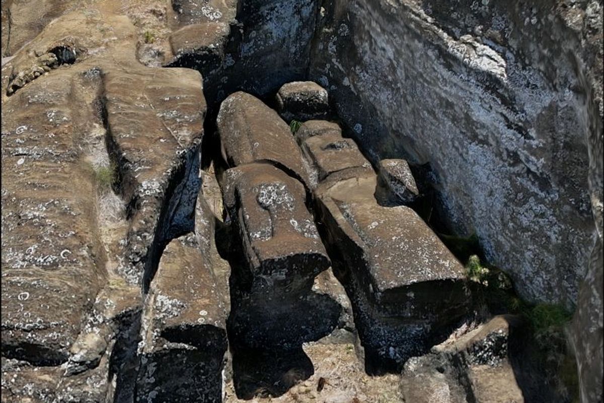 Separate Families Carved the 1,000 Easter Island Moai Statues — Some in ...