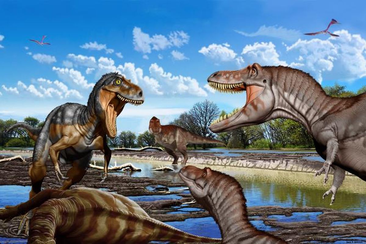 Tiny Throat Bone Confirms Nanotyrannus as Own Species — Adding Another ...