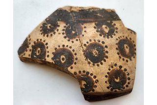 The World’s Oldest Botanical Art Reveals How Humans Were Doing Math ...