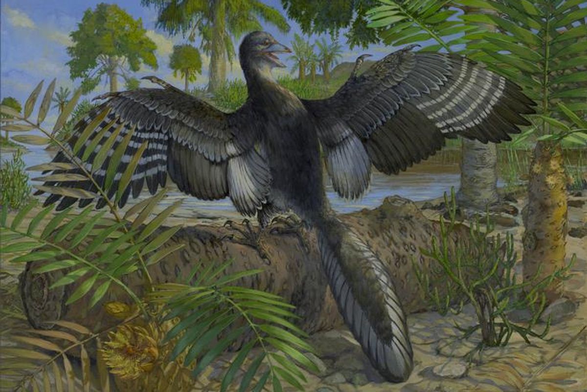 Top 9 Dinosaur Discoveries of 2025 — From the Oldest Ankylosaur to ...