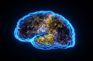 Why Some Brains Adapt Faster Than Others — And What That Means For Your ...