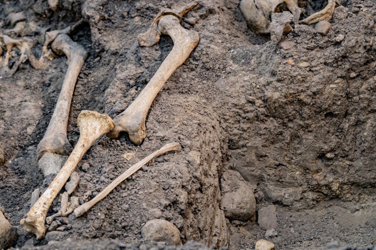 Modern Humans May Have Lived Alongside an Extinct Human Species in ...