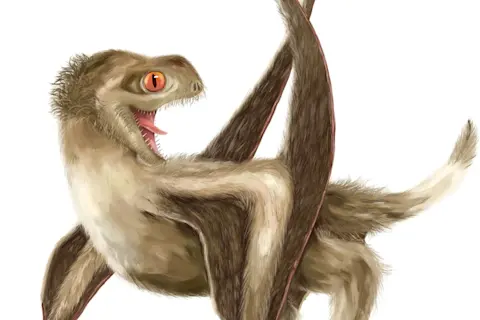 Did All Dinosaurs Have Feathers? | Discover Magazine