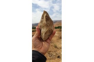 Snails and Sediments Reveal the True Age of a Site Occupied By Ancient ...