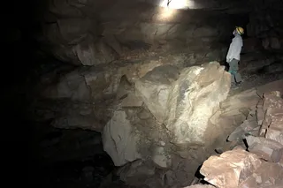 Ice Age Animal Fossils Hidden in Texas Water Cave, Including the Giant ...