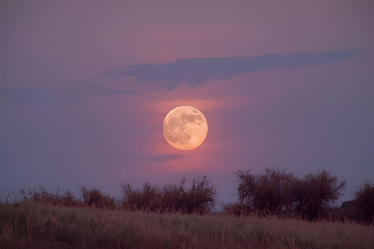 April's Full Pink Moon of 2026 Won't Have a Rosy Hue but Will Still ...