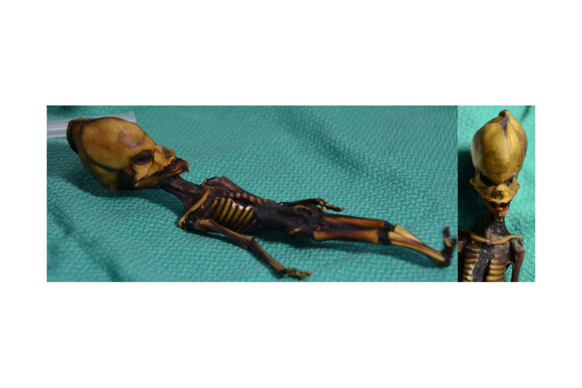 Atacama "Alien" Update: DNA Details Of Six-Inch Skeleton | Discover ...