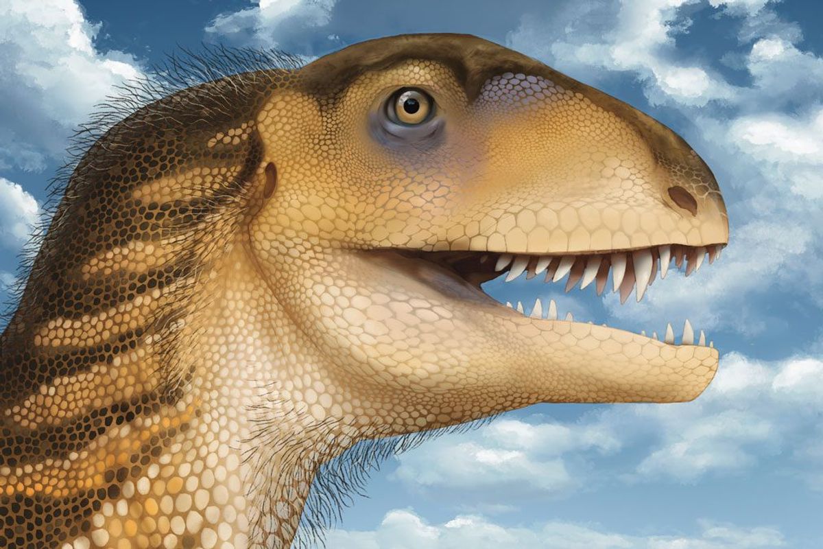 A “Uniquely Sucky Specimen,” This Smashed 205-Million-Year-Old Skull ...