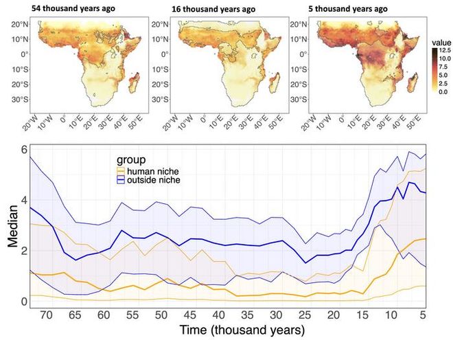 Modern Humans Arose in Africa — Here’s How Malaria Shaped Their Sub ...