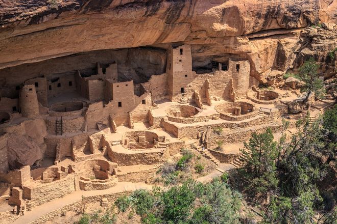 The Top 10 U.S. National Parks for Unique Wildlife and Fossil Beds ...