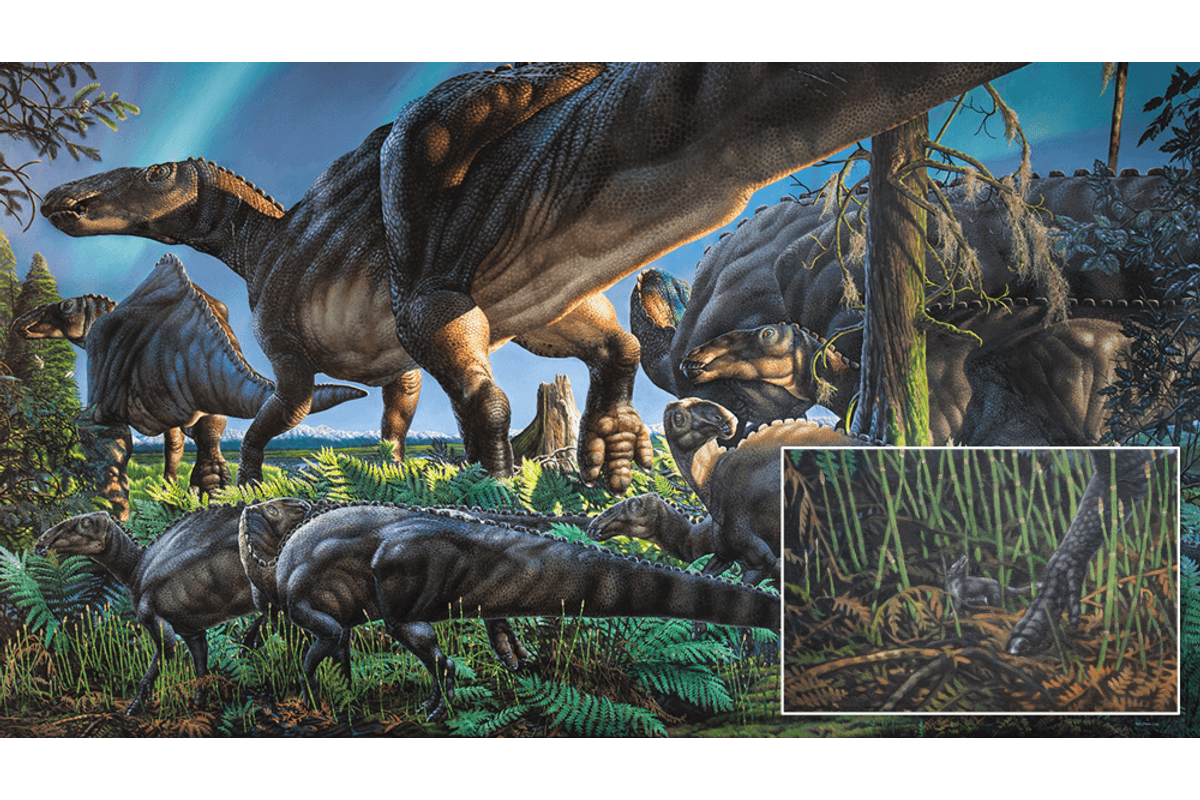 73-Million-Year-Old Teeth Reveal Three New Mammal Species That Lived in ...