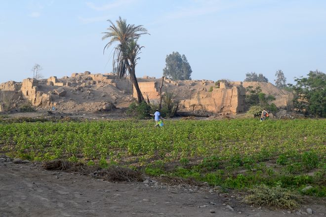 Ancient DNA Reveals People Traveled Over 400 Miles Along Peru’s Coast ...