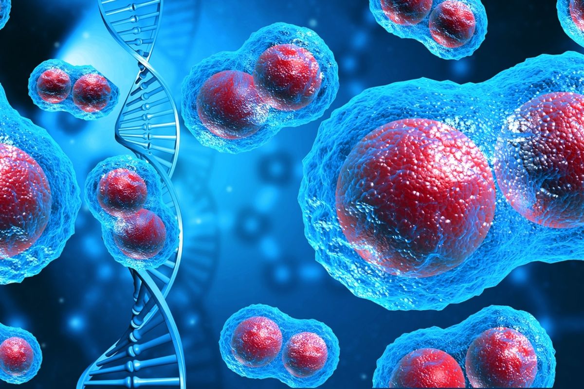 Why Some Cancers Are More Aggressive Than Others May Come Down to Cell ...
