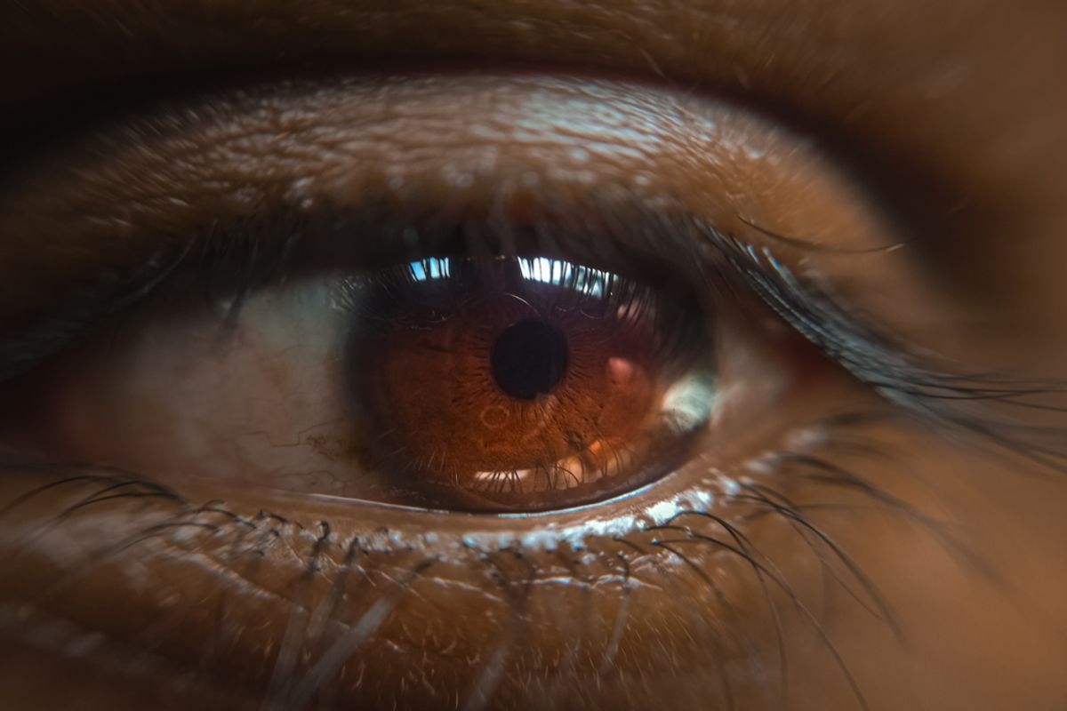 A New Genetic Map of the Human Eye Could One Day Reveal Vision Loss ...