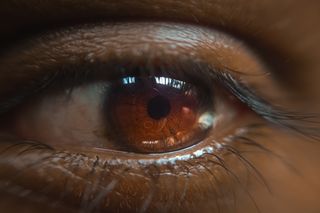 A New Genetic Map of the Human Eye Could One Day Reveal Vision Loss ...