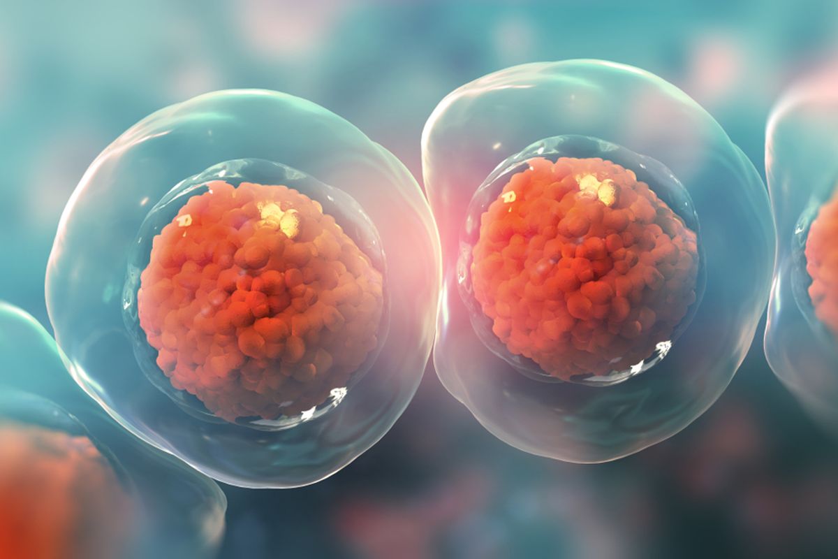 Human Cells Can Pass DNA to Each Other Through Tiny Tubes — Here's How ...
