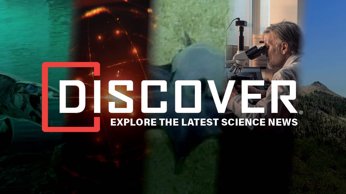 A New Tiny Blue Octopus, Helium Shortage, Norovirus Outbreak in ...