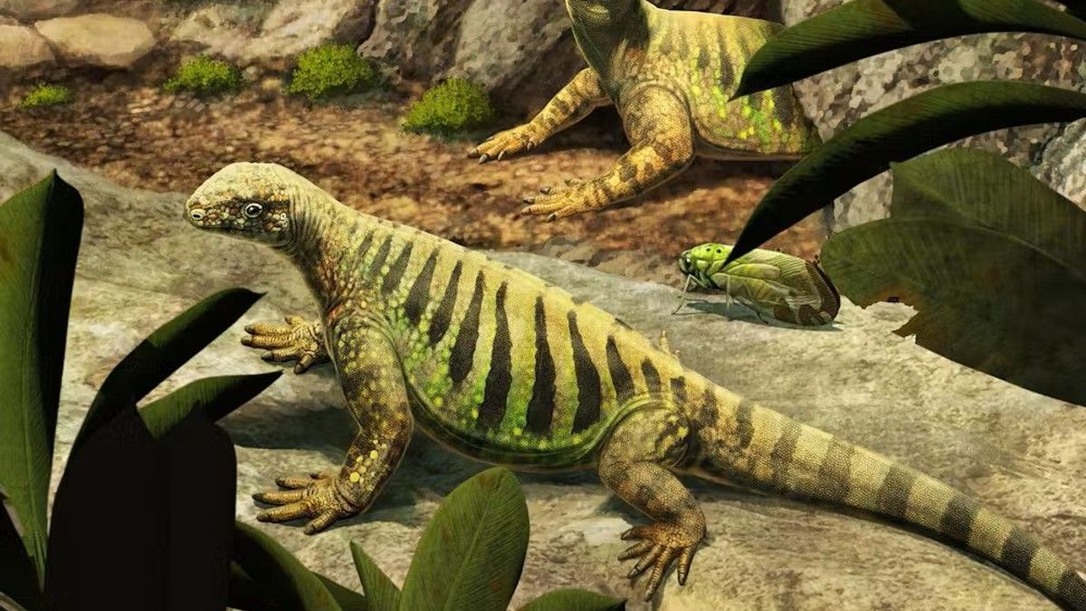 This 260-Million-Year-Old Reptile Fossil Is Reshaping the Story of ...