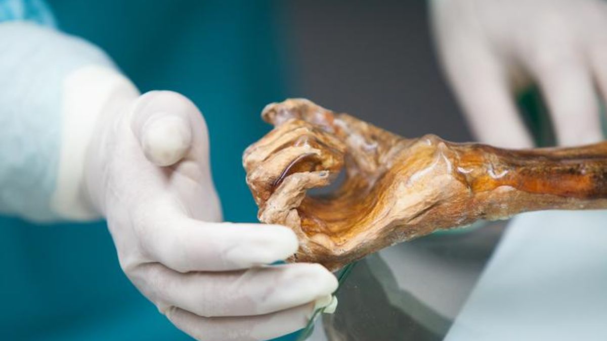 Unexpected Microbes on Ötzi the Iceman’s 5,300-Year-Old Body May Have ...