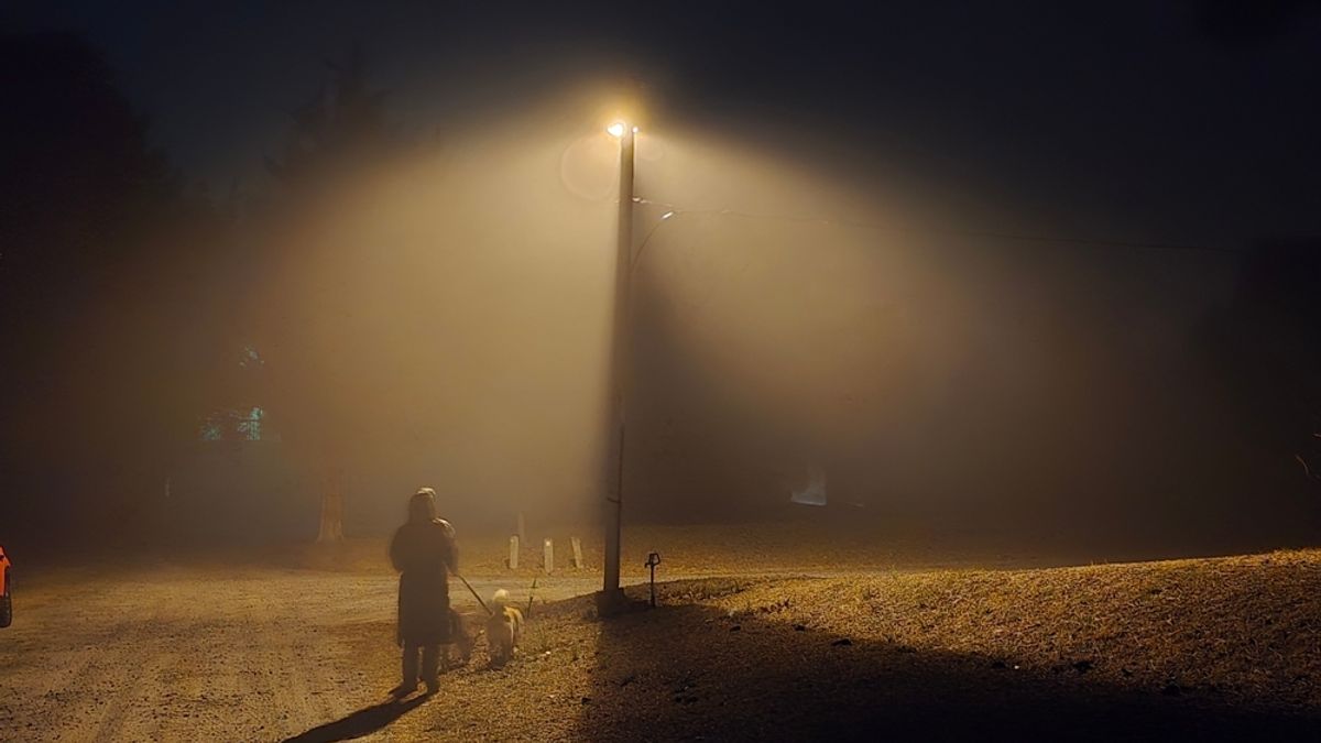 Something May Wake Up Inside Fog — and Leave More Bacteria Behind When ...