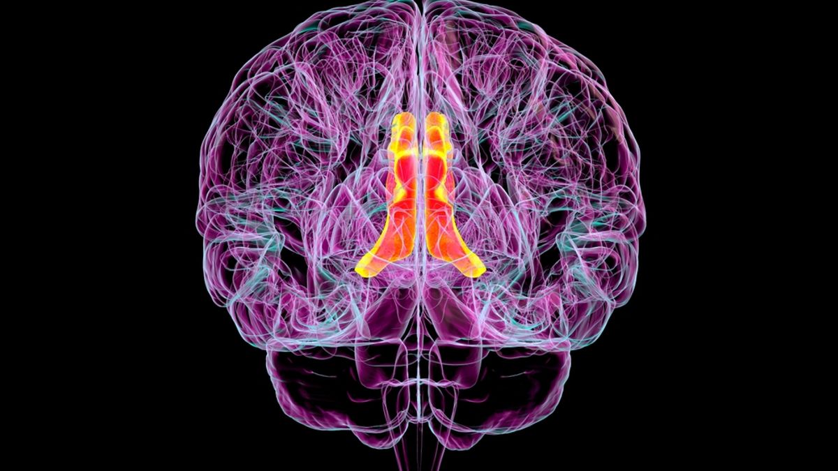 CBD Shows Early Promise for Reducing Brain Inflammation in Alzheimer’s ...