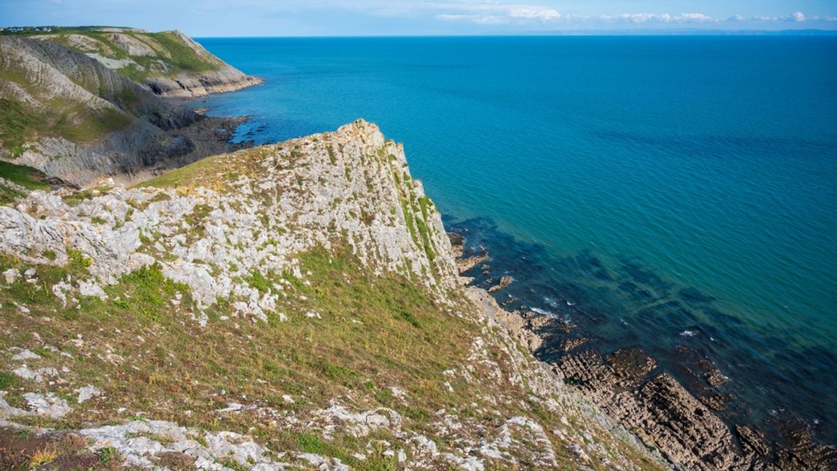 17,100-Year-Old Cave Paintings in Wales Were Dismissed as Stains — but ...