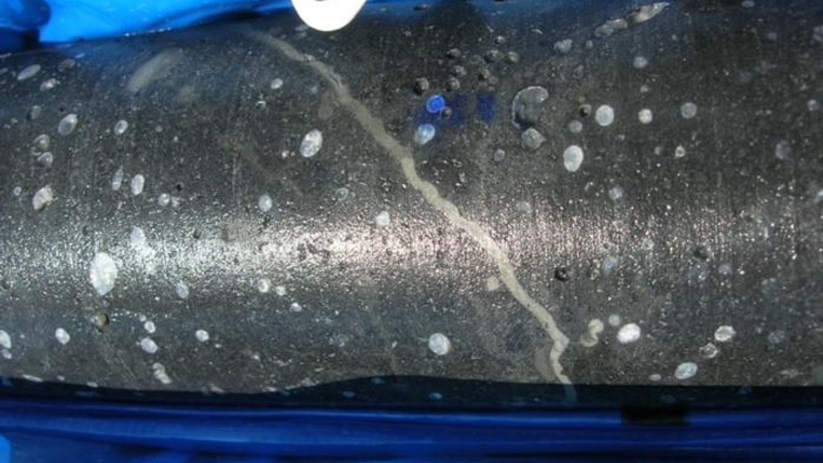 800,000 Years Ago, Ancient Humans Knew Which Stones Made the Best Tools ...