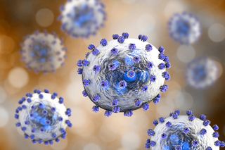 First-Ever Dual Vaccine for Lassa Virus and Rabies Deemed Safe in Human ...