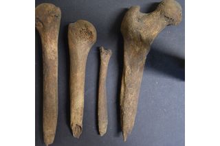 Scottish Burial Site Suggests an Iron Age Woman’s Brain Was Removed and ...