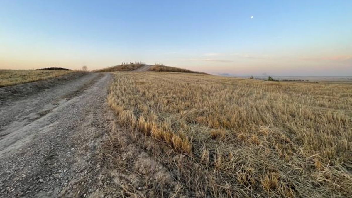 4,000-Year-Old Human Remains and Artifacts Linked to the Fall of the ...