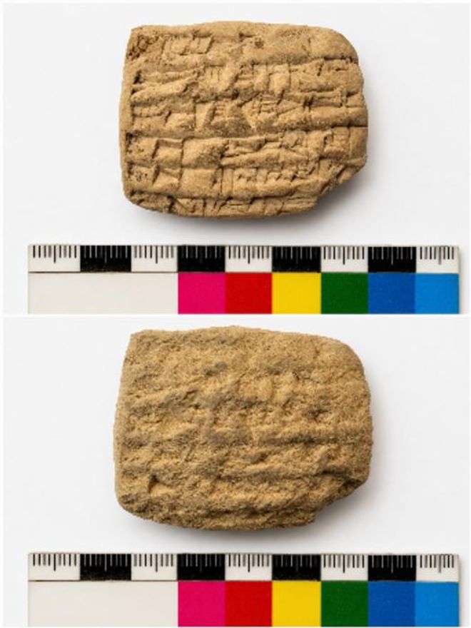 4,000-Year-Old Human Remains and Artifacts Linked to the Fall of the ...