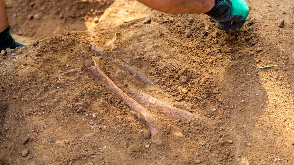 Iron Age Celtic Grave Reveals Gold, Weapons, and a Two-Wheeled Chariot ...