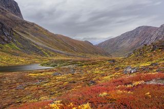 Greenland’s Thawing Ancient Garbage Heaps Are Releasing a 4,500-Year ...
