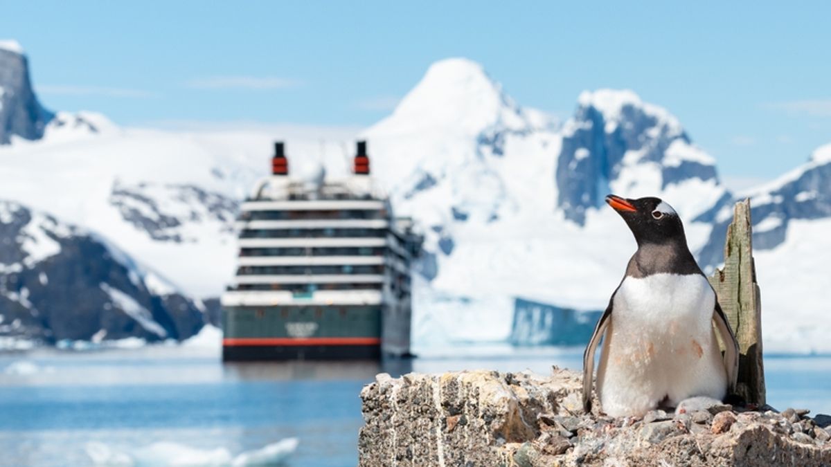 Tourism in Antarctica Is Growing — Along With Its Carbon Footprint and ...