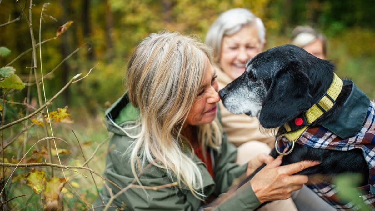 Dogs Can Have Positive Impacts on Our Mental and Physical Health — but ...