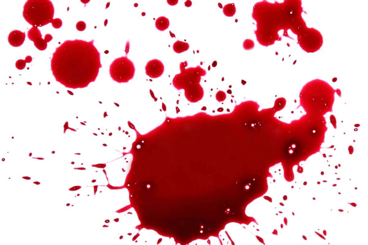 20 Things You Didn't Know About... Blood | Discover Magazine