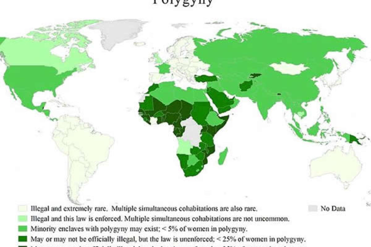 Monogamous societies superior to polygamous societies | Discover Magazine