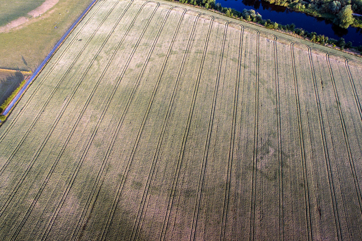 Drought Uncovers Ancient Irish Henge | Discover Magazine