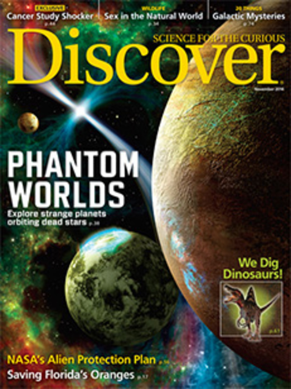 November Issue | Discover Magazine