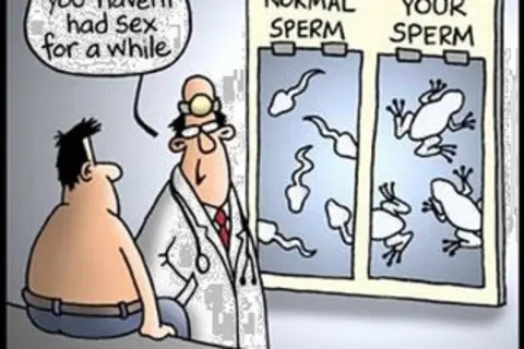 Jerry Coyne On The Adaptive Significance of Semen Flavor | Discover ...