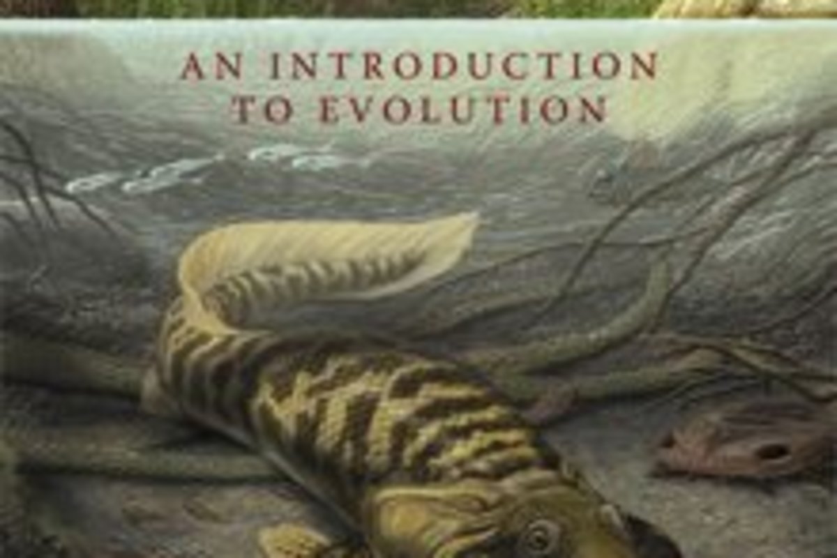 New Tangled Bank Review: "The Best" | Discover Magazine