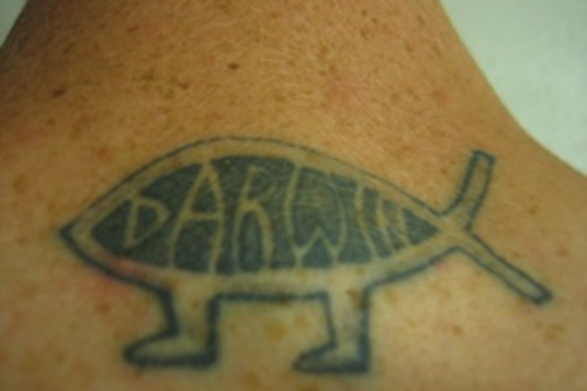 Darwin Fish | Discover Magazine