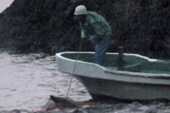 Commando Filmmakers Expose Secret Dolphin Slaughter in Japan | Discover ...